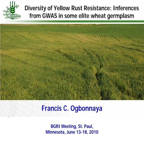 Diversity of Yellow Rust Resistance: Inferences from GWAS in some elite ...