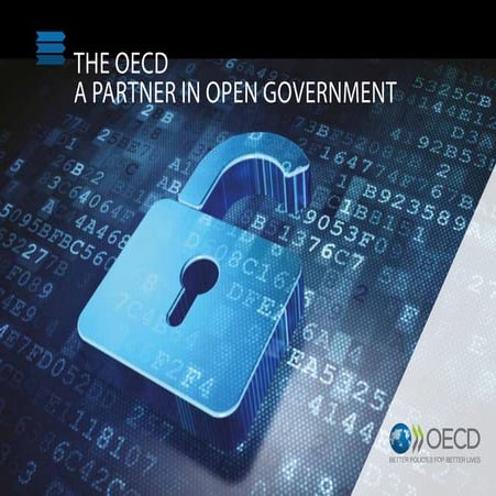 Open Government brochure | PDF