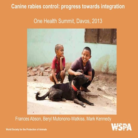 Lessons learned_Addressing rabies through One Health approach_Indonesia ...