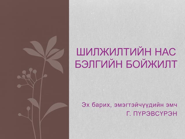 өсвөр насны хүүхэд Pptx