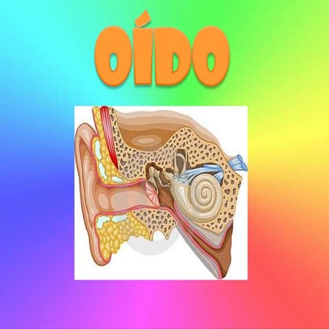 Oido | PPT