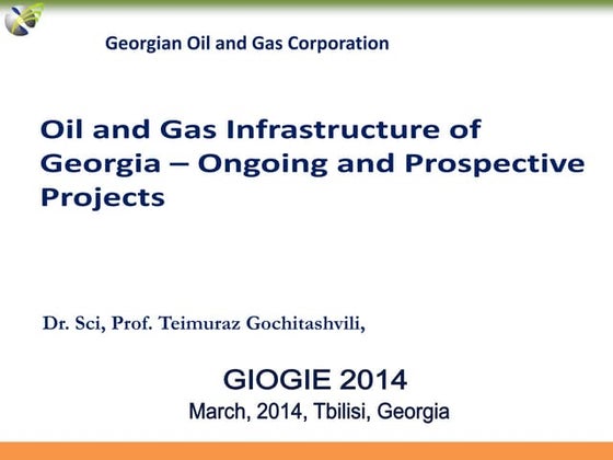 Georgia state services | PPT