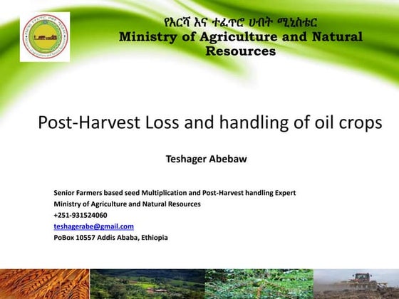 POST-HARVEST MANAGEMENT.pptx