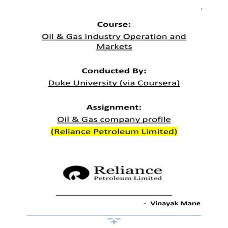 Oil & Gas Company Profile (Reliance Petroleum Limited) | PDF