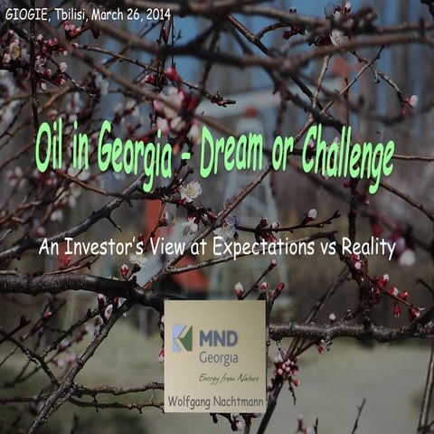 Oil in Georgia: Dream or Challenge? | PPT
