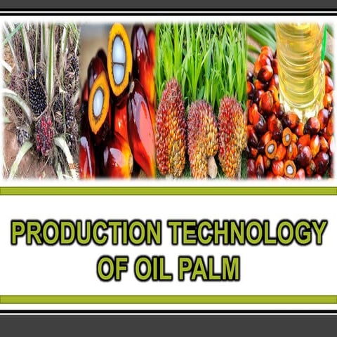 Economic importance and Production technology of Oil Palm | PDF