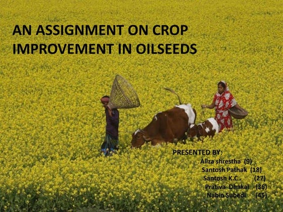 Ideotype breeding | PPTX