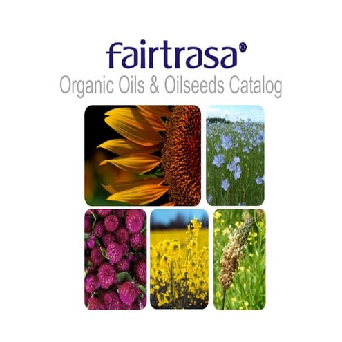 Oils & Oilseeds Catalog | PDF | Agriculture | Industries