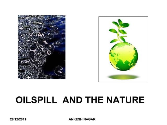 Bioremediation of Aquifers and Marine Oil Spills | PPTX