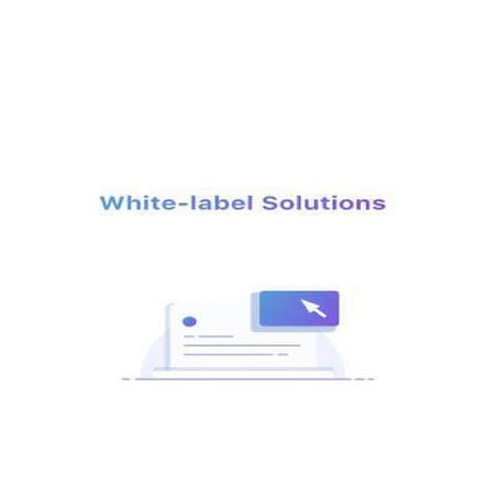 White Label Software Program: Empower Your Brand | PDF