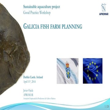 Galicia fish farm planning | PPTX