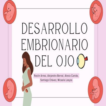 Embriología Ojo explicación de todo .pdf