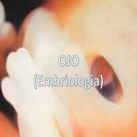 Ojo- embriologia | PPTX