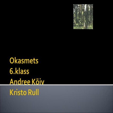 okasmets | PPT