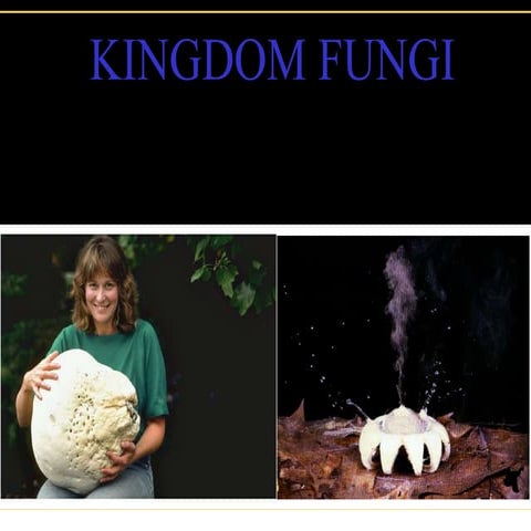 OK fungi.ppt