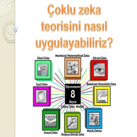 çOklu zeka kurami