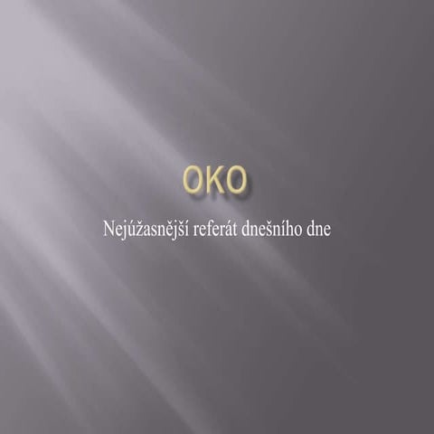 Oko | PPTX