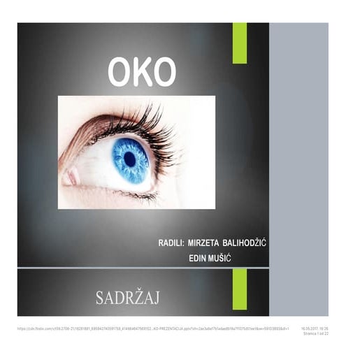 Oko | PDF