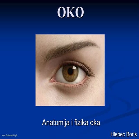 Oko anatomija i fiziologija | PDF