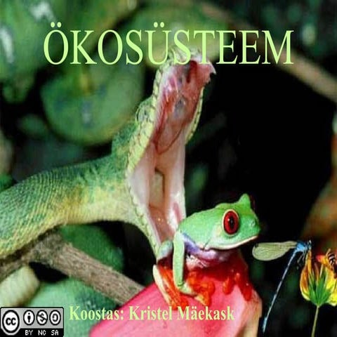 Okosüsteem | PPT