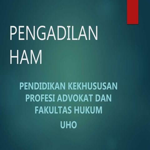 Pengadilan Hak Asasi Manusia Di Indonesia | DOCX