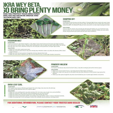 Okra: Solutions to Pests and Diseases (Pidgin) | PDF