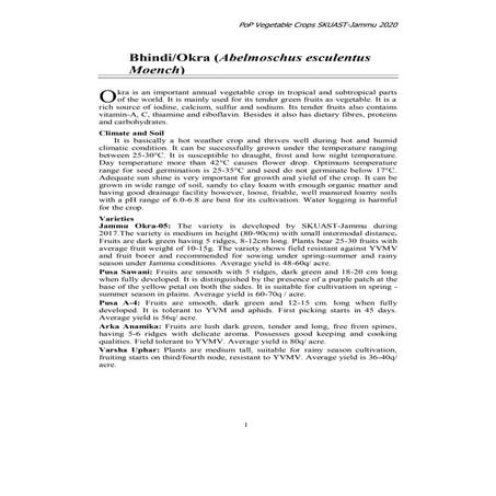 Okra | PDF