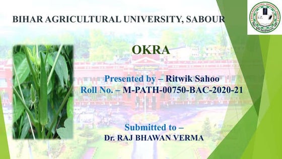 FOOD ,FORAGE AND FODDER CROPS OF RAJASTHAN | PPT