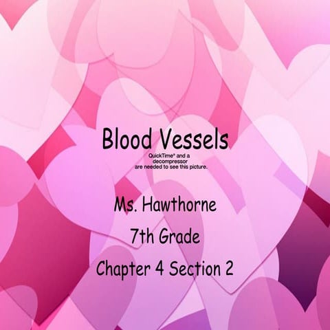 170-Anatomy-Circulatory-System basics.ppt