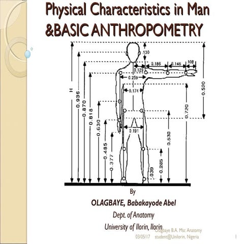 Anthropometry and Physical Charateristics in man | PPT
