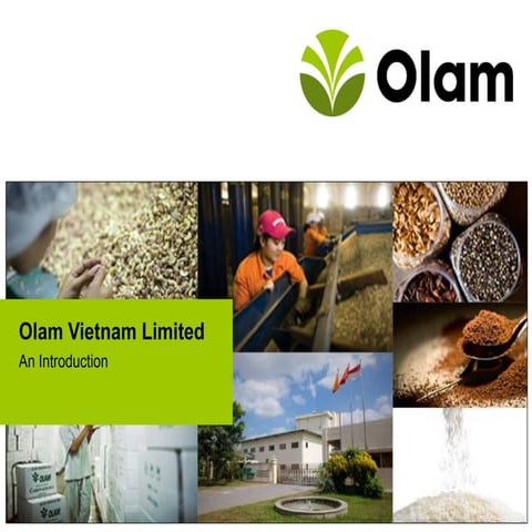 Olam Vietnam Limited: An Introduction | PDF