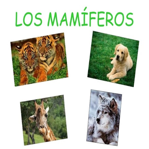 Los Sentidos De Los Animales[1] Jfc | PPT