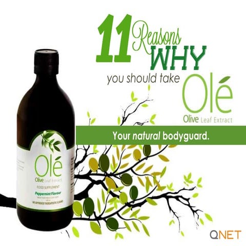 11 Reasons to Take Ole Olive Leaf Extract by QNET | PPT
