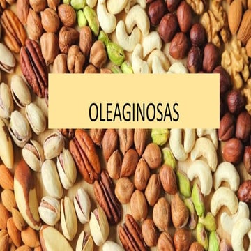 OLEAGINOSAS.pptx.pdf