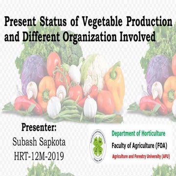 present status of vegetable production and different organization ...