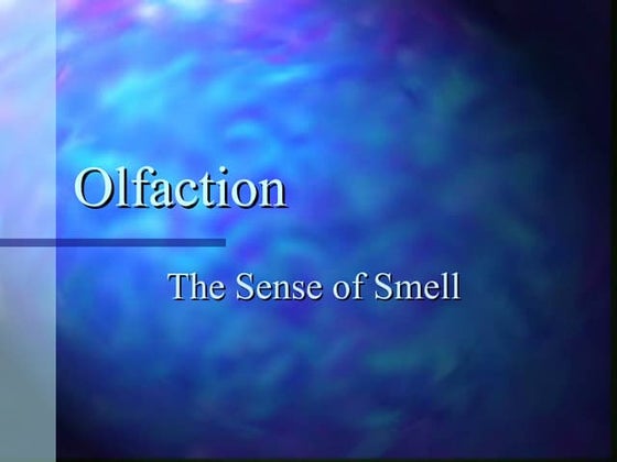 Sense of smell | PPT