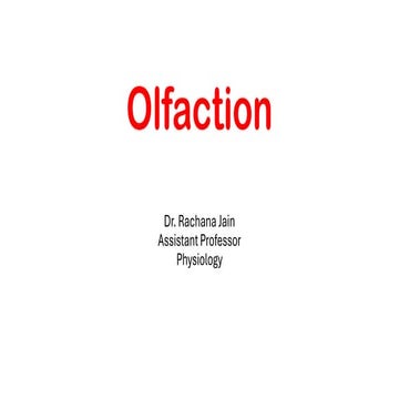Olfaction.pdf having the pathway , disorder | PDF