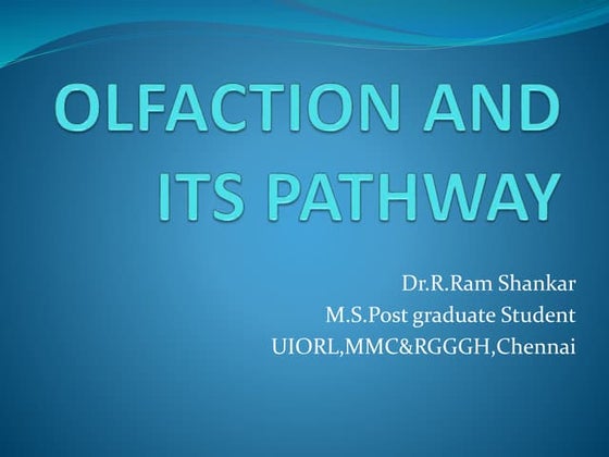 Olfactory system and functioning in human | PPT