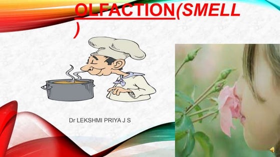 Olfaction | PPT