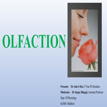 Physiology of Olfaction - Medical Student PPT | PPTX