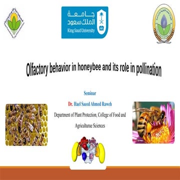 Olfactory behavior in honeybee and its role in pollination - Copy.pptx
