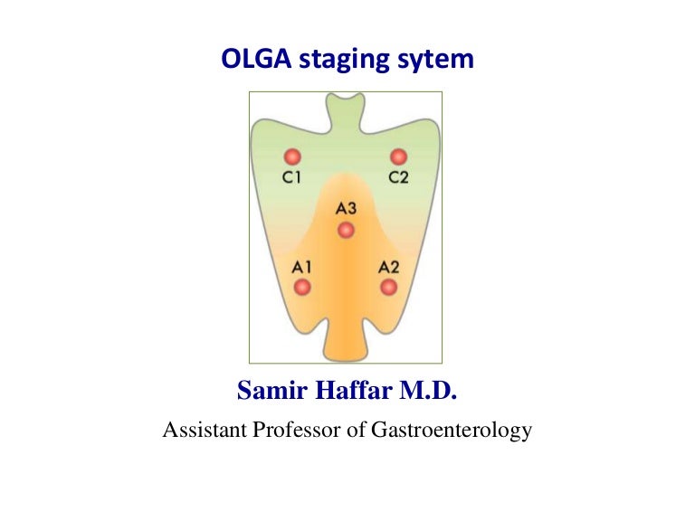 Olga staging system for diagnosis of gastritis