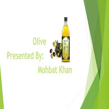 Olive | PPTX