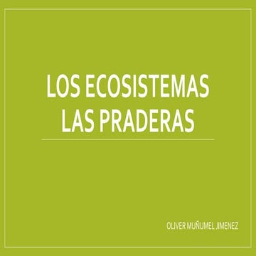 Ecosistemas de rios | PPTX
