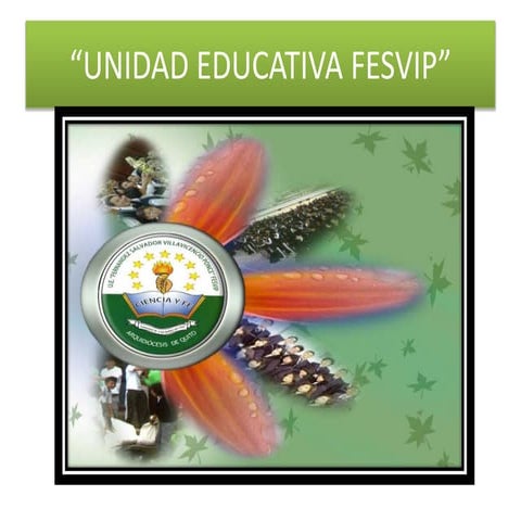 Planos 1 | DOCX