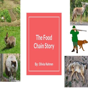 The Food Chain Story | PPTX