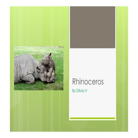 Black Rhinoceros - The Endangered Speicies | PPTX