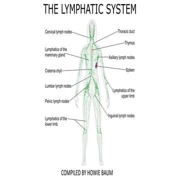 The Lymphatic System.pdf