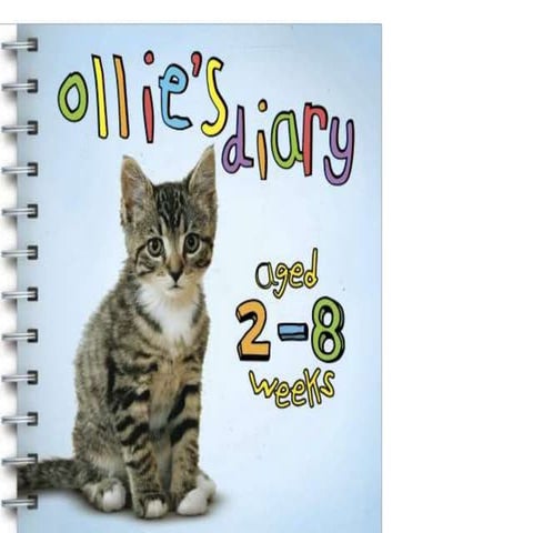 Ollie's first steps | PPTX