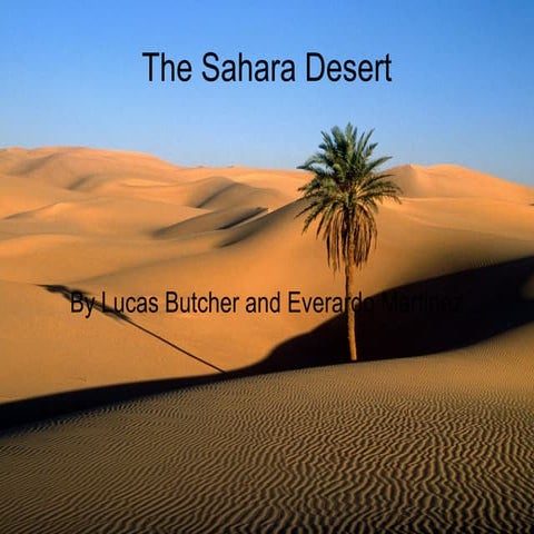 Sahara Desert Ecology Prjct | PPT